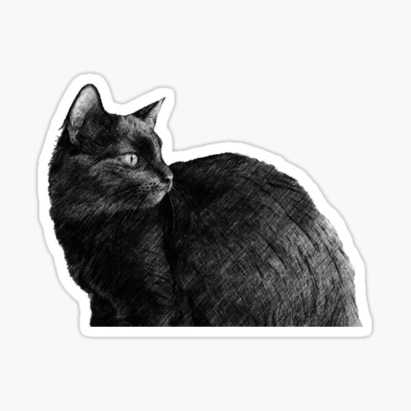 "Black Cat Drawing" Sticker for Sale by renspaintbrush | Redbubble
