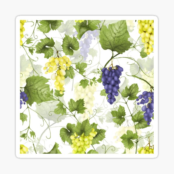 "Watercolor Grapes Pattern" Sticker for Sale by UtArt | Redbubble
