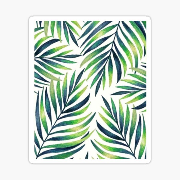 "palm leaf" Sticker by stickerdesignss | Redbubble