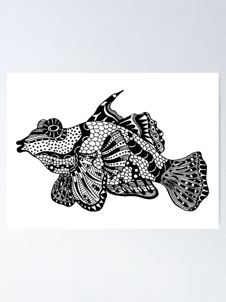 "Mandarin Fish Drawing" Poster by LidiaP | Redbubble
