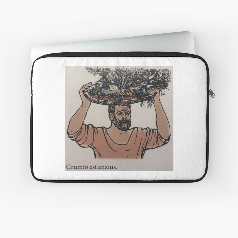 "Grumio est anxius" Sticker for Sale by rrhiannon | Redbubble