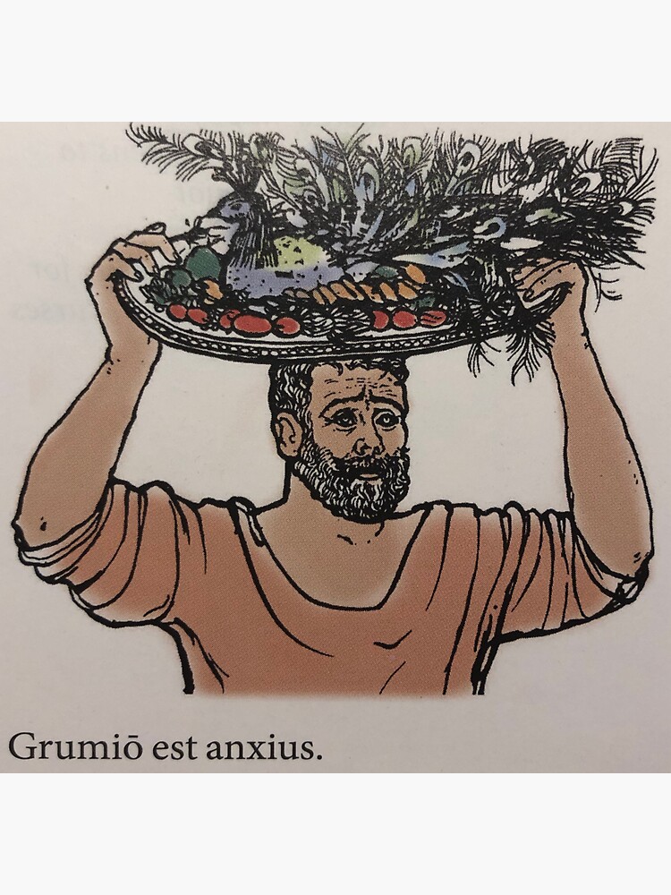 "Grumio est anxius" Sticker for Sale by rrhiannon | Redbubble