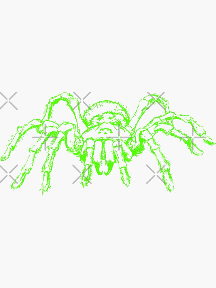 "Spider - Neon Green Spider Tarantula - Black" Sticker by Botanly ...