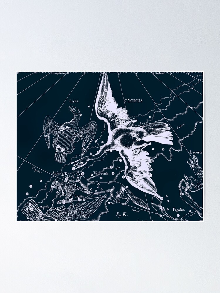 "Cygnus Constellation" Poster by irinatsy | Redbubble