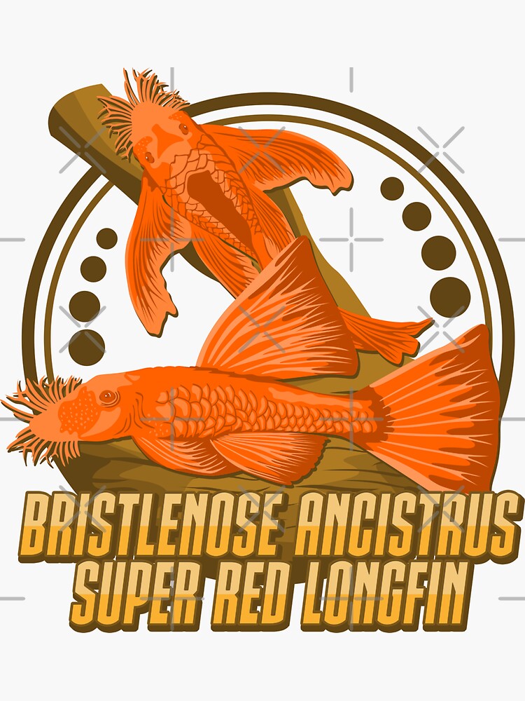 "Bristlenose Ancistrus – Suckermouth Pleco Aquarium Fish Merch" Sticker ...