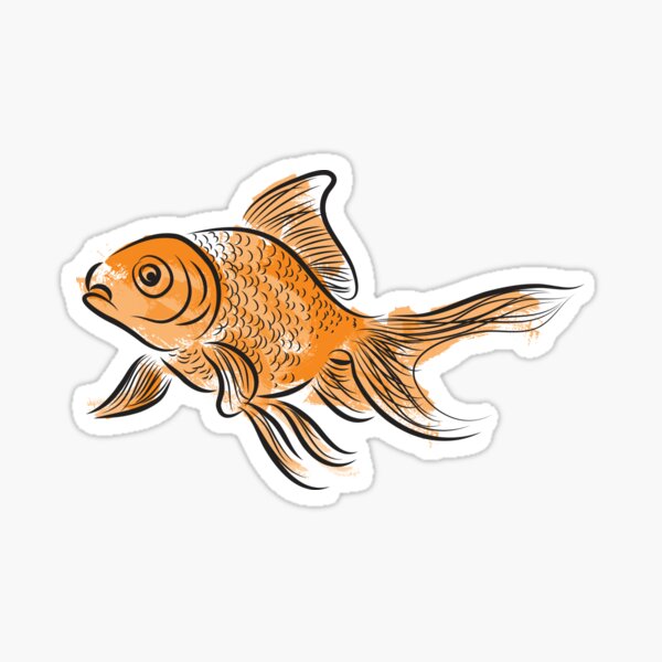 "goldfish" Sticker by kimtangdesign | Redbubble