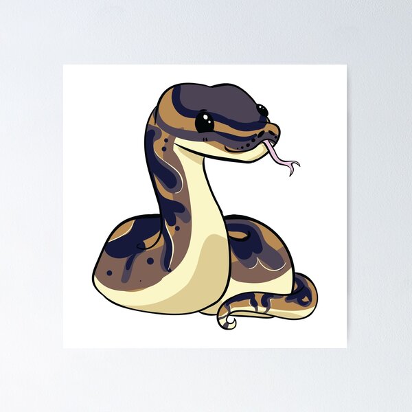 "Ball Python" Poster for Sale by Hun-Bunny-Art | Redbubble