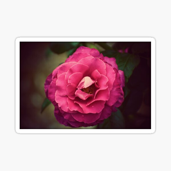 "Life Line" Sticker for Sale by HecateBast | Redbubble