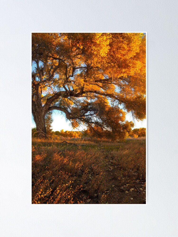 "Heavy" Poster by boblarsonphoto | Redbubble