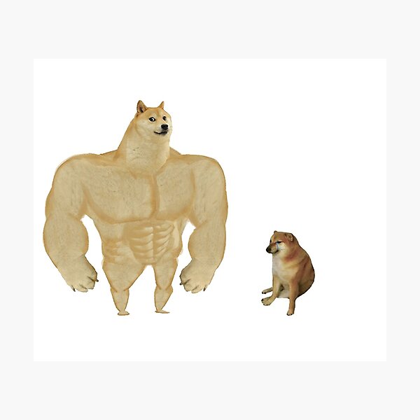 "Buff doge meme" Photographic Print for Sale by AveryLStickers | Redbubble