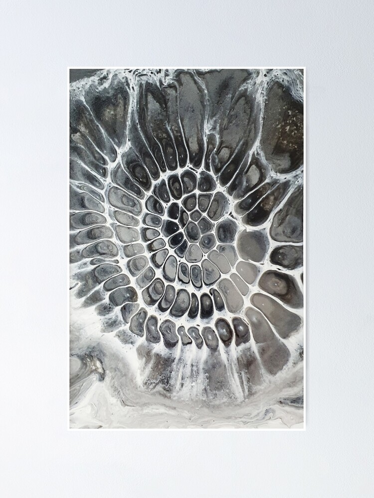 "Acrylic Painted Ammonite" Poster by abcreativeofc | Redbubble