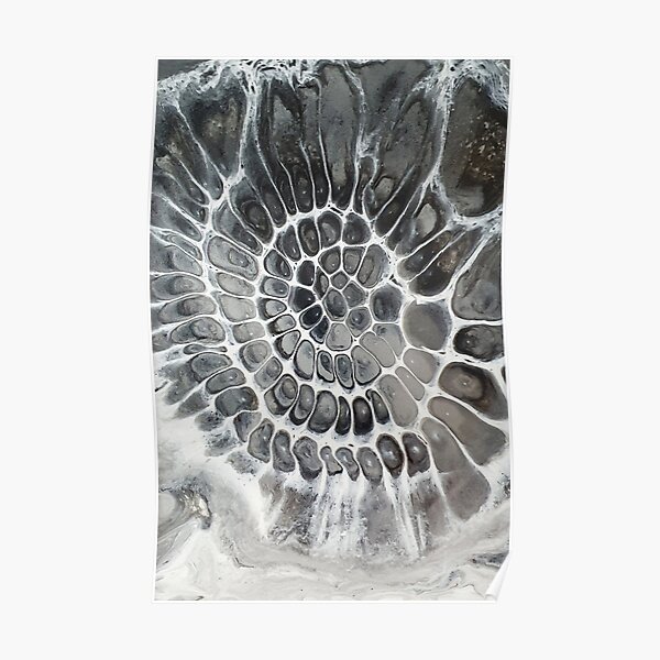 "Acrylic Painted Ammonite" Poster by abcreativeofc | Redbubble