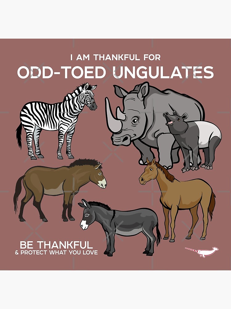 "I Am Thankful For Odd-Toed Ungulates" Art Print for Sale by ...