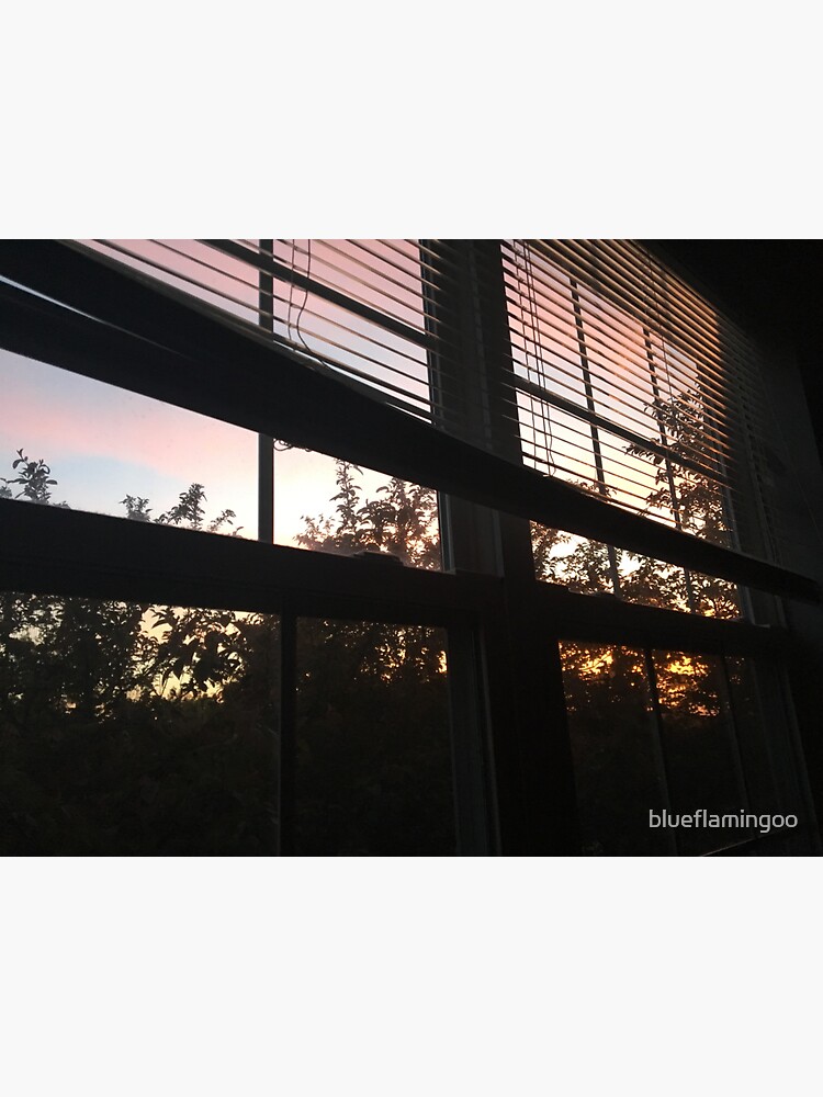 "Aesthetic Sunrise through window" Sticker by blueflamingoo | Redbubble