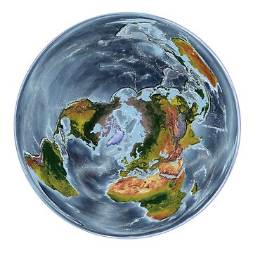 "WGS 84 EASE Grid North projection - World Relief Map showing land and ...