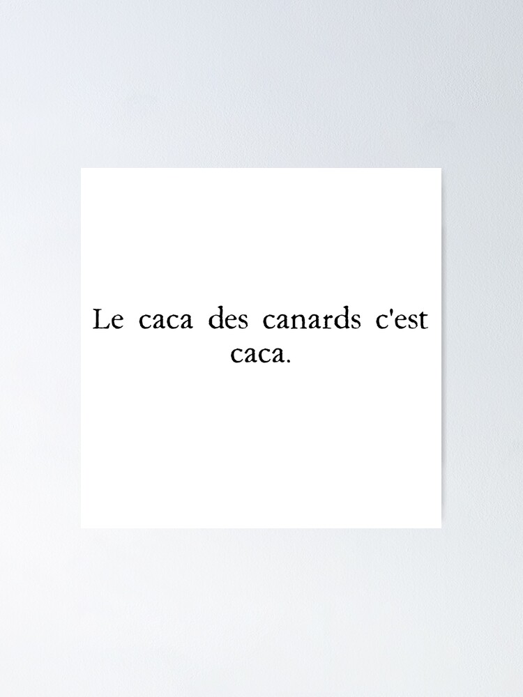 Poster « Kaamelott - Kadoc #16 - Le caca des canards c'est caca. », par ...