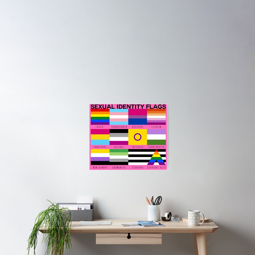 "SEXUAL IDENTITY PRIDE FLAGS, LGBTQ+ PRIDE MONTH (PINK)" Poster for ...
