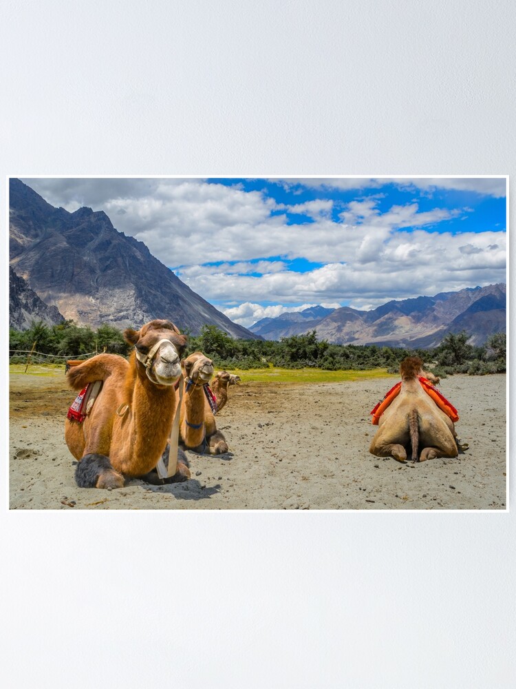 "The Different Perspective!" Poster by Gaurkapeesh | Redbubble