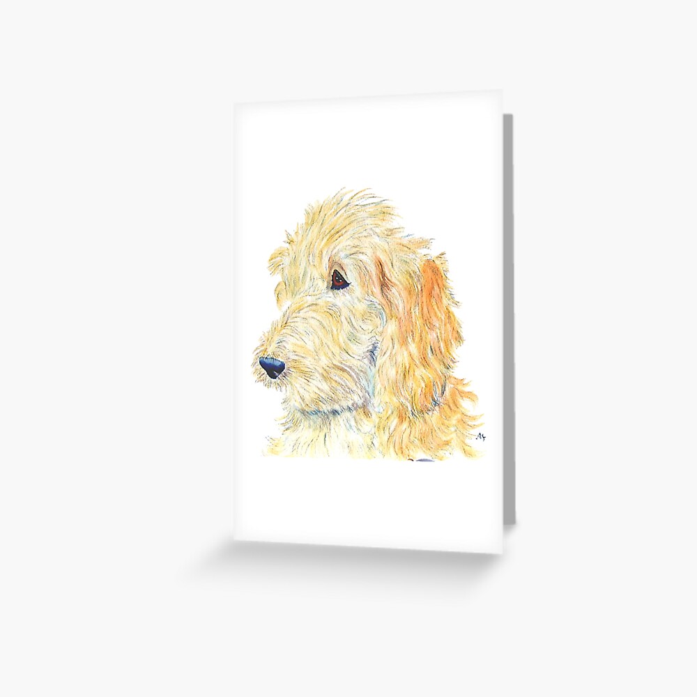 "Cream Labradoodle" Greeting Card by yvonnecarter | Redbubble