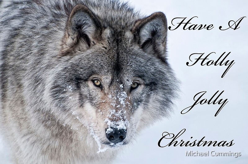 "Christmas Card - Timber Wolf" by Michael Cummings | Redbubble