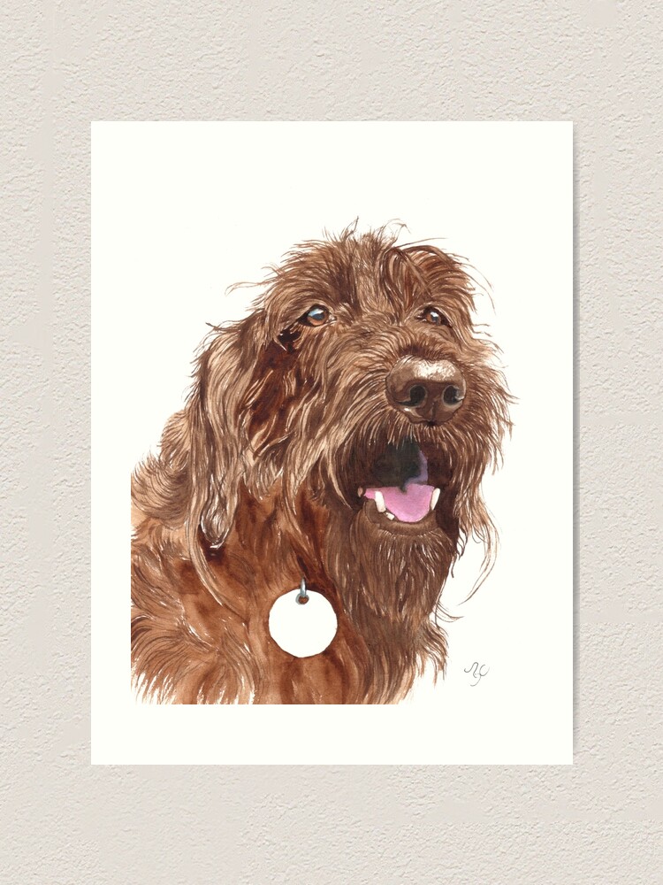 "Chocolate Labradoodle" Art Print by yvonnecarter | Redbubble