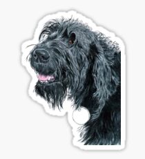 Labradoodle: Stickers | Redbubble
