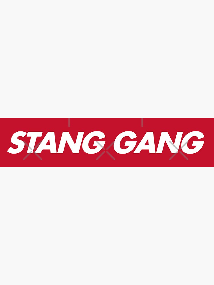 "Stang Gang, Mustang GT" Sticker by KYGSales | Redbubble