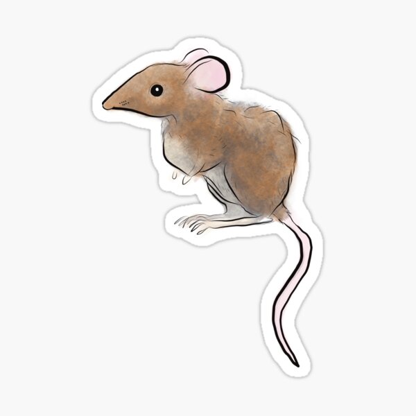 "little brown mouse" Sticker by alexbairdart | Redbubble