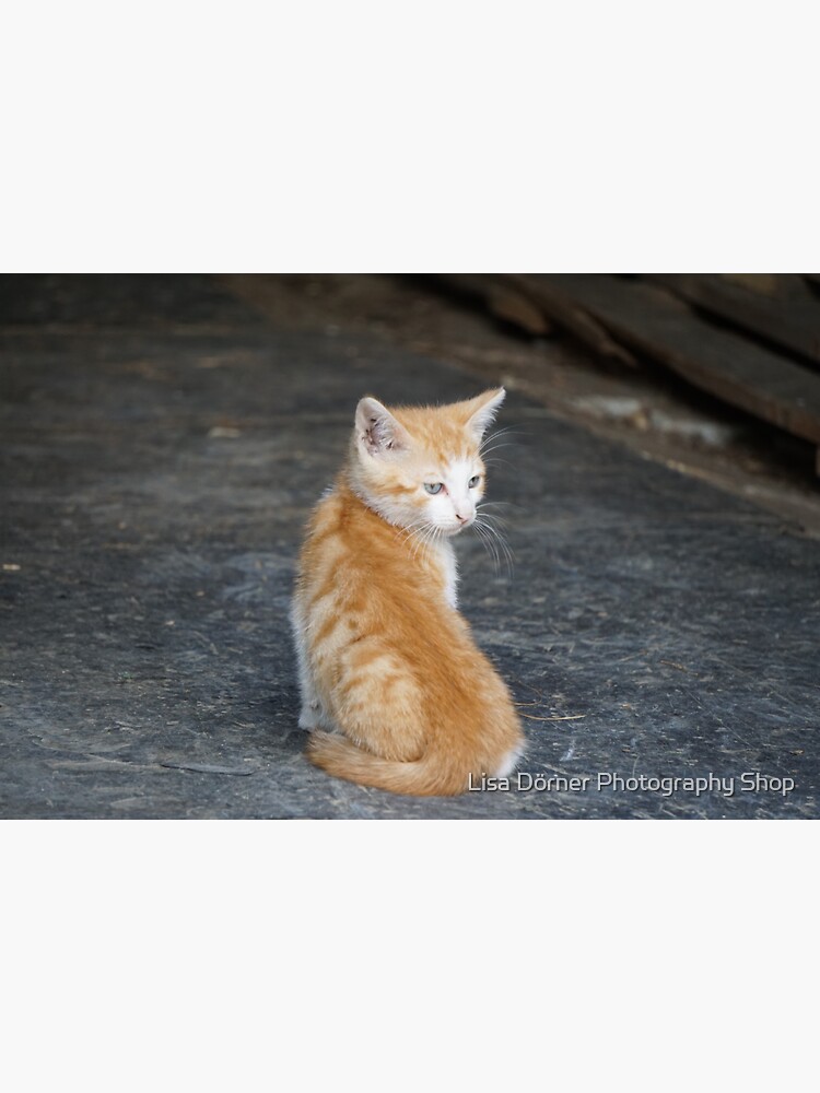 "Ginger Baby" Sticker for Sale by LisaKakapo | Redbubble