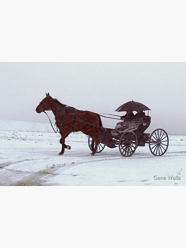 "Amish Drive-By" Art Print by ProfAudio | Redbubble