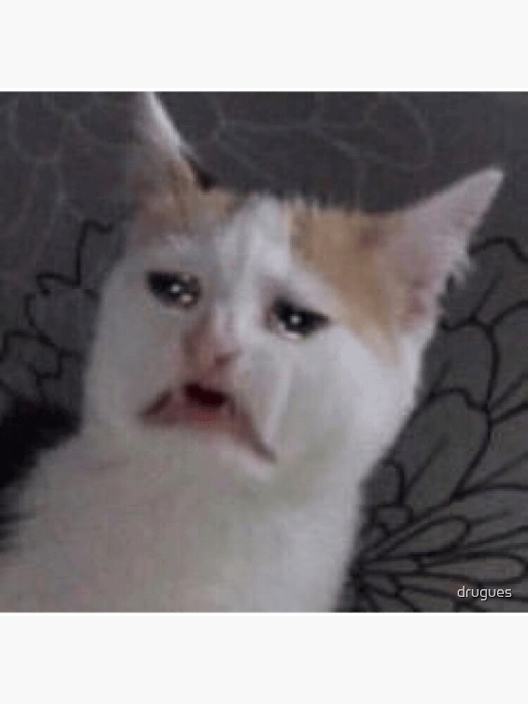 "Crying Cat" Poster by drugues | Redbubble