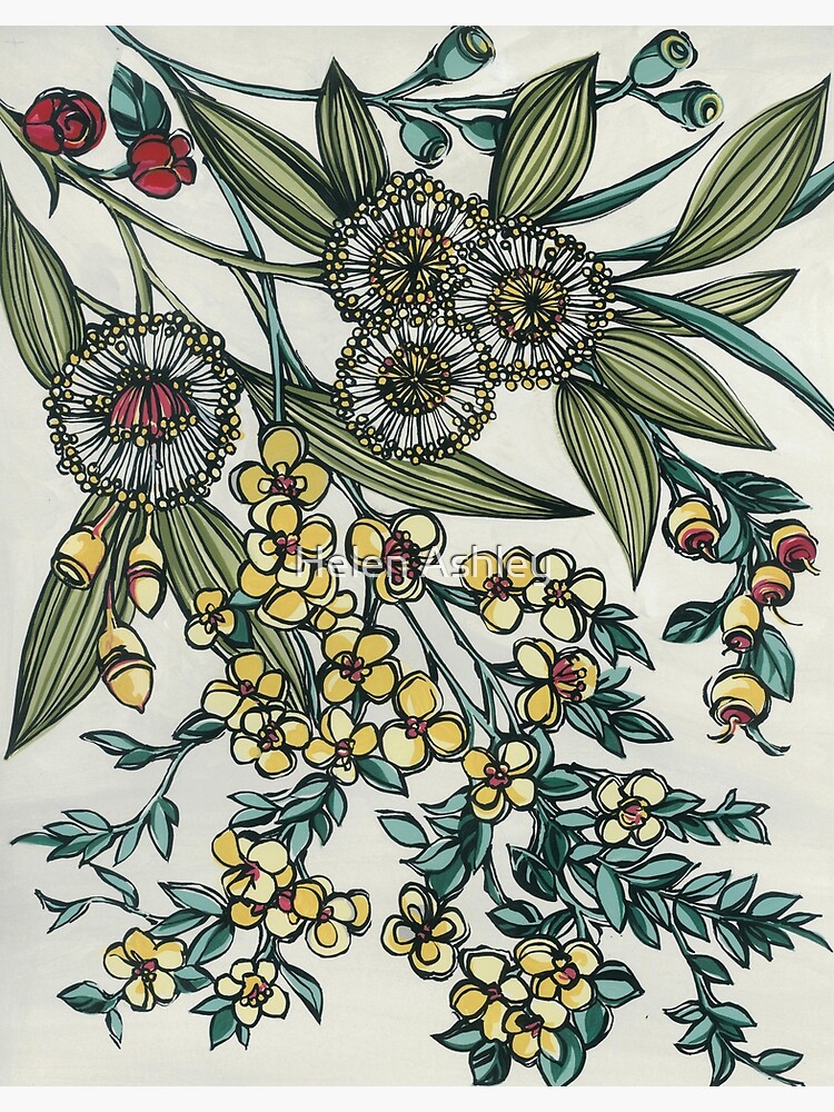 "Retro Australian Native Floral" Poster for Sale by Helen Ashley ...