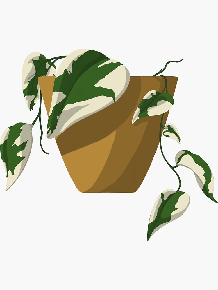 "Marble Queen Pothos" Sticker by Artytyler | Redbubble
