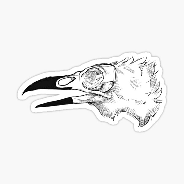 "Raven Skull" Sticker by maskiidoodle | Redbubble