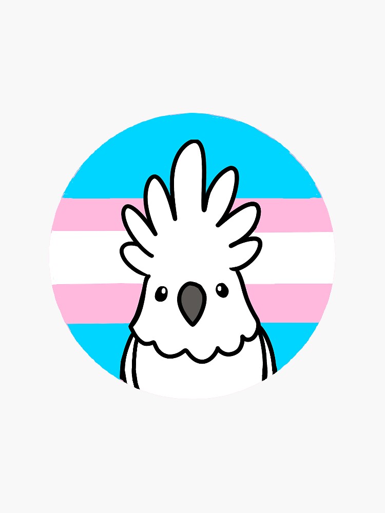 "Pride Parrot - Transgender Cockatoo" Sticker by BirbThings | Redbubble