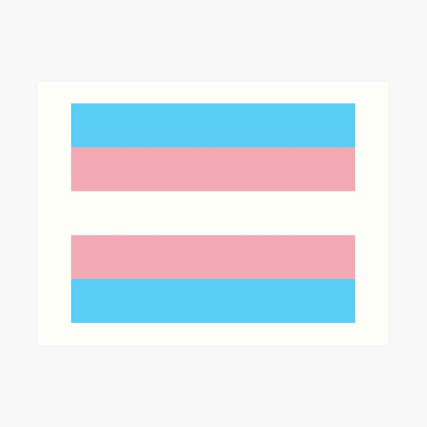 "Transgender Pride Flag Trans LGBTQ " Art Print by bdanmartin | Redbubble