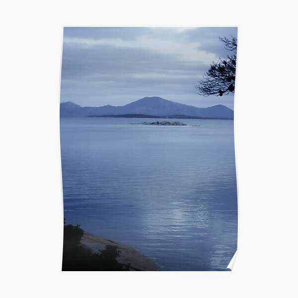 "Lady Baron " Poster for Sale by andymak54 | Redbubble