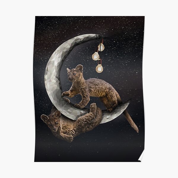 "Fossa" Poster by Renasingsasong | Redbubble