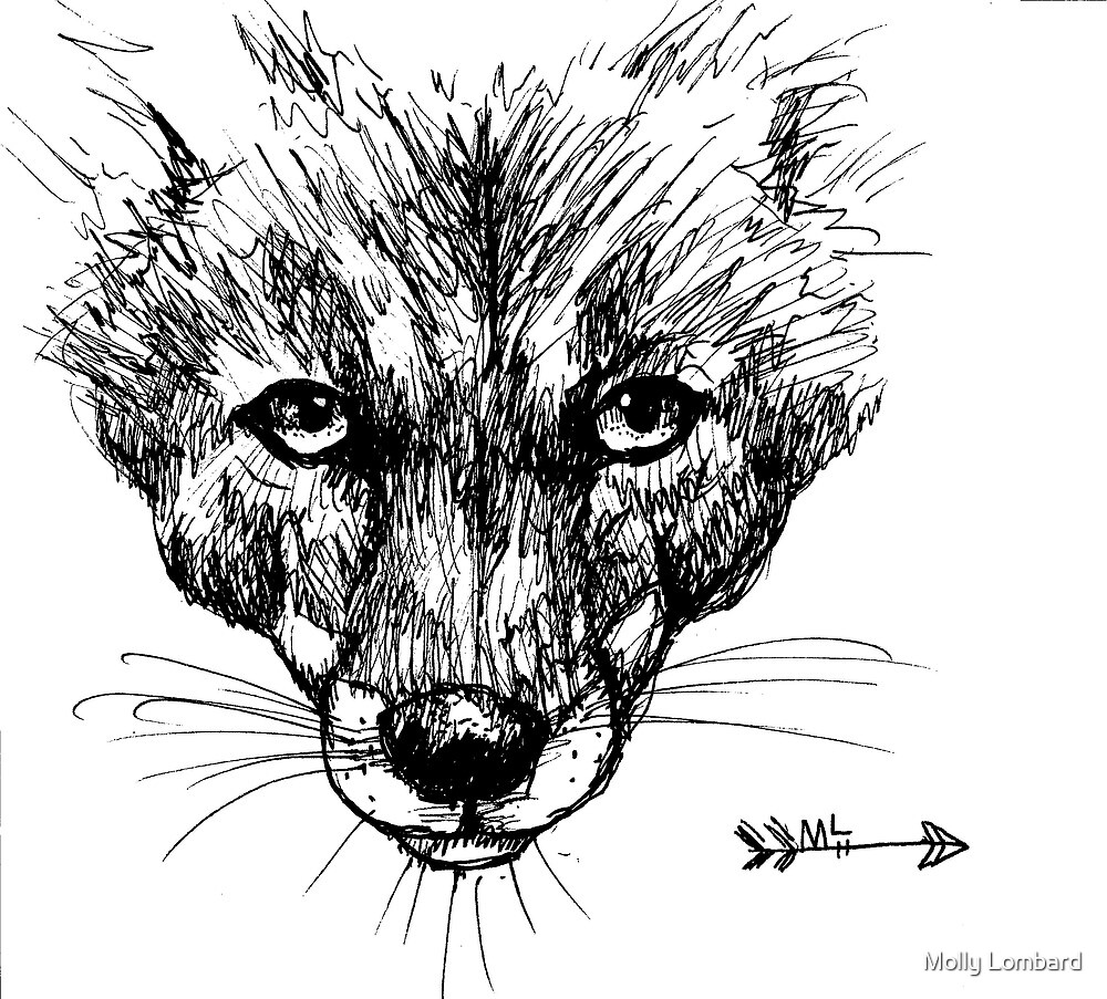"The Fox - Ink Drawing" by Molly Lombard | Redbubble