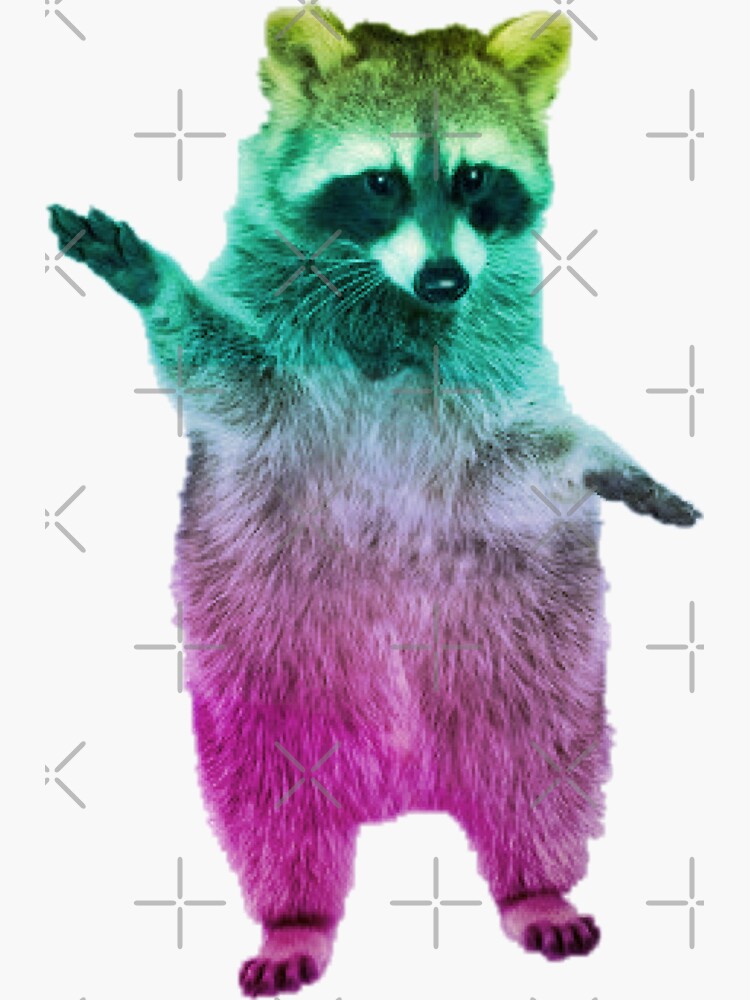 "Rainbow Raccoon 3" Sticker by funhousejen | Redbubble