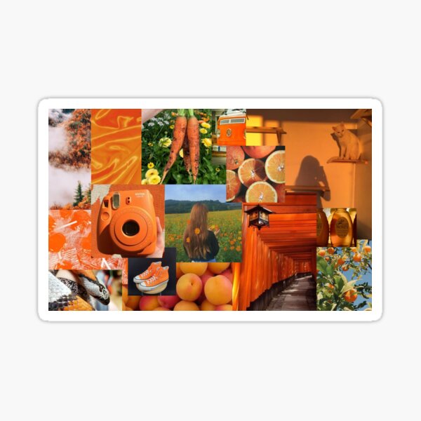 "orange aesthetic " Sticker by regandel0361 | Redbubble