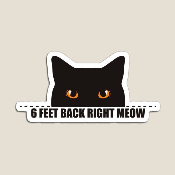 "6 FEET BACK RIGHT MEOW FUNNY CAT - stay away kitten" Magnet by Artdise ...