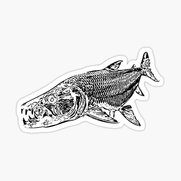 "Goliath Tigerfish Black Print " Sticker by designsasstultd | Redbubble