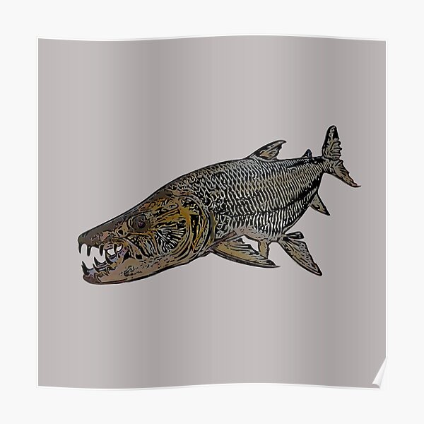 " Goliath Tigerfish Color Print " Poster by designsasstultd | Redbubble