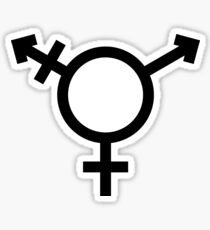 Trans: Stickers | Redbubble
