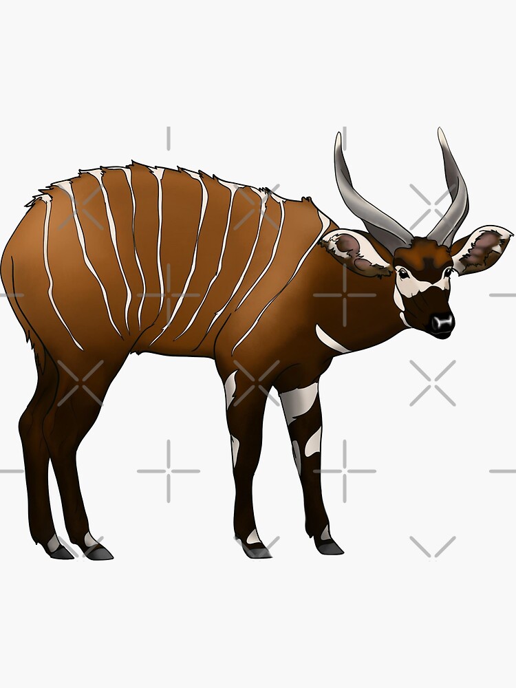 "Bongo!" Sticker for Sale by Crittercrazy | Redbubble