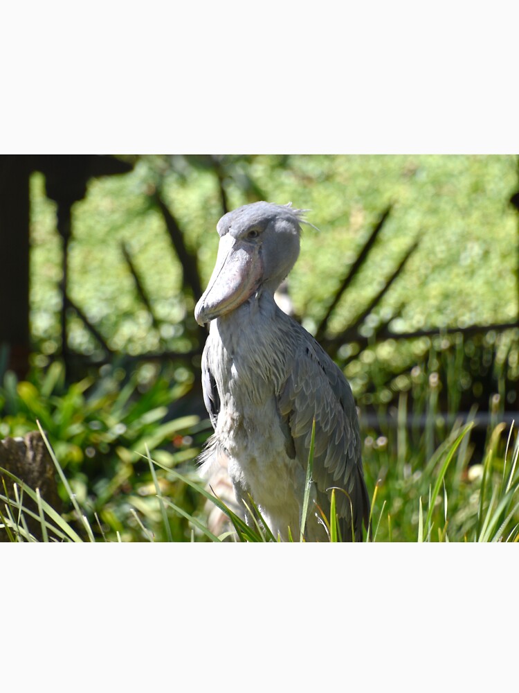 "Shoebill Stork at the San Diego Zoo Safari Park" T-shirt for Sale by ...