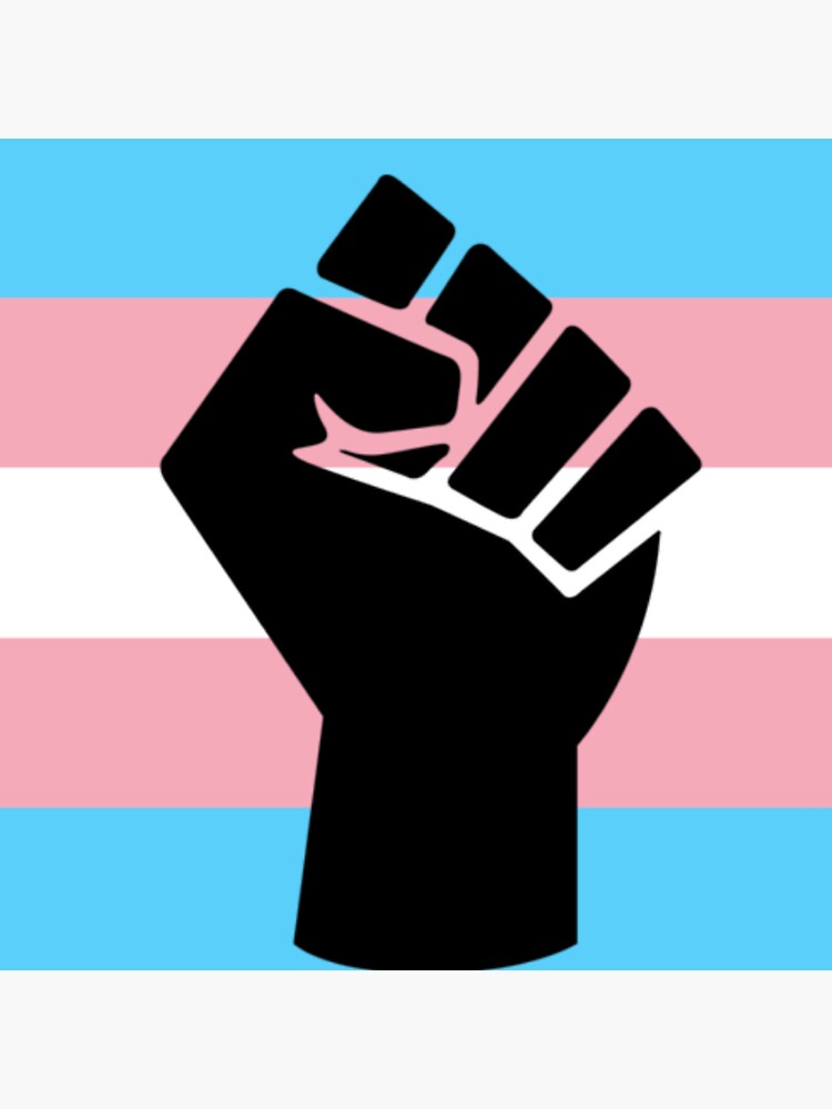"BLM Fist Trans Flag" Sticker for Sale by andi0521 | Redbubble