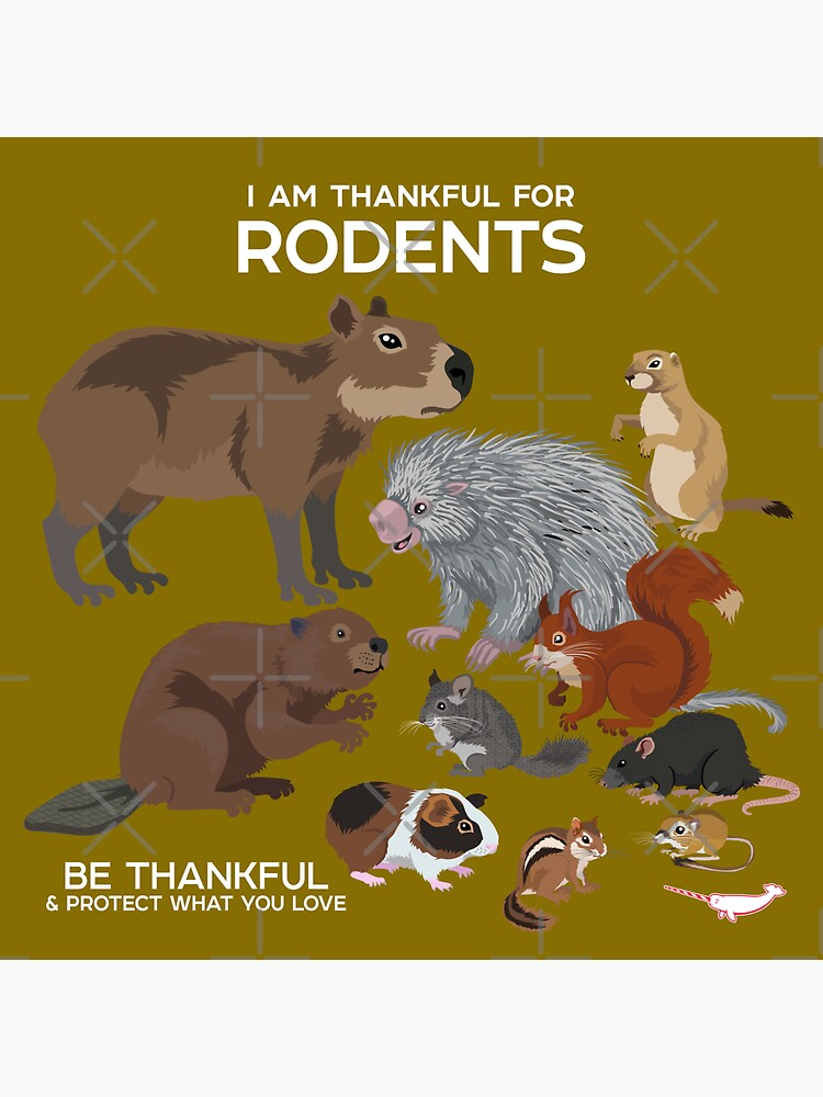 "I Am Thankful For Rodents" Sticker for Sale by PepomintNarwhal | Redbubble