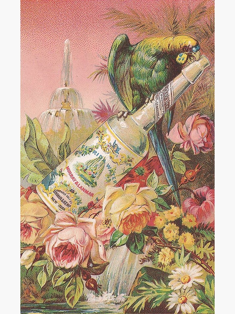 Vintage Advertisement - Florida Water Classic Semi-Gloss Poster sold by ...